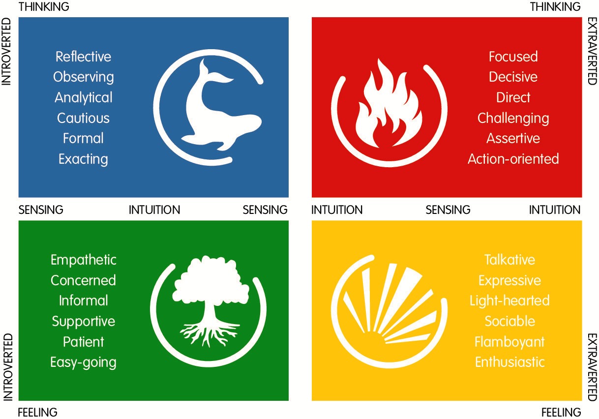 The Smart Training Company | Clarity 4D - The Smart Training Company